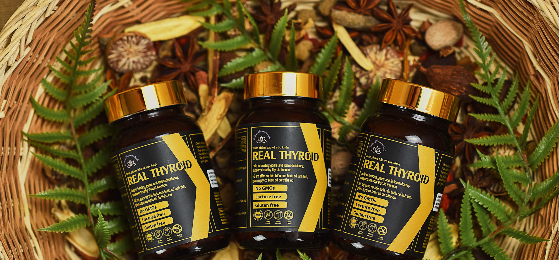 Welcome in The Real Thyroid Shop